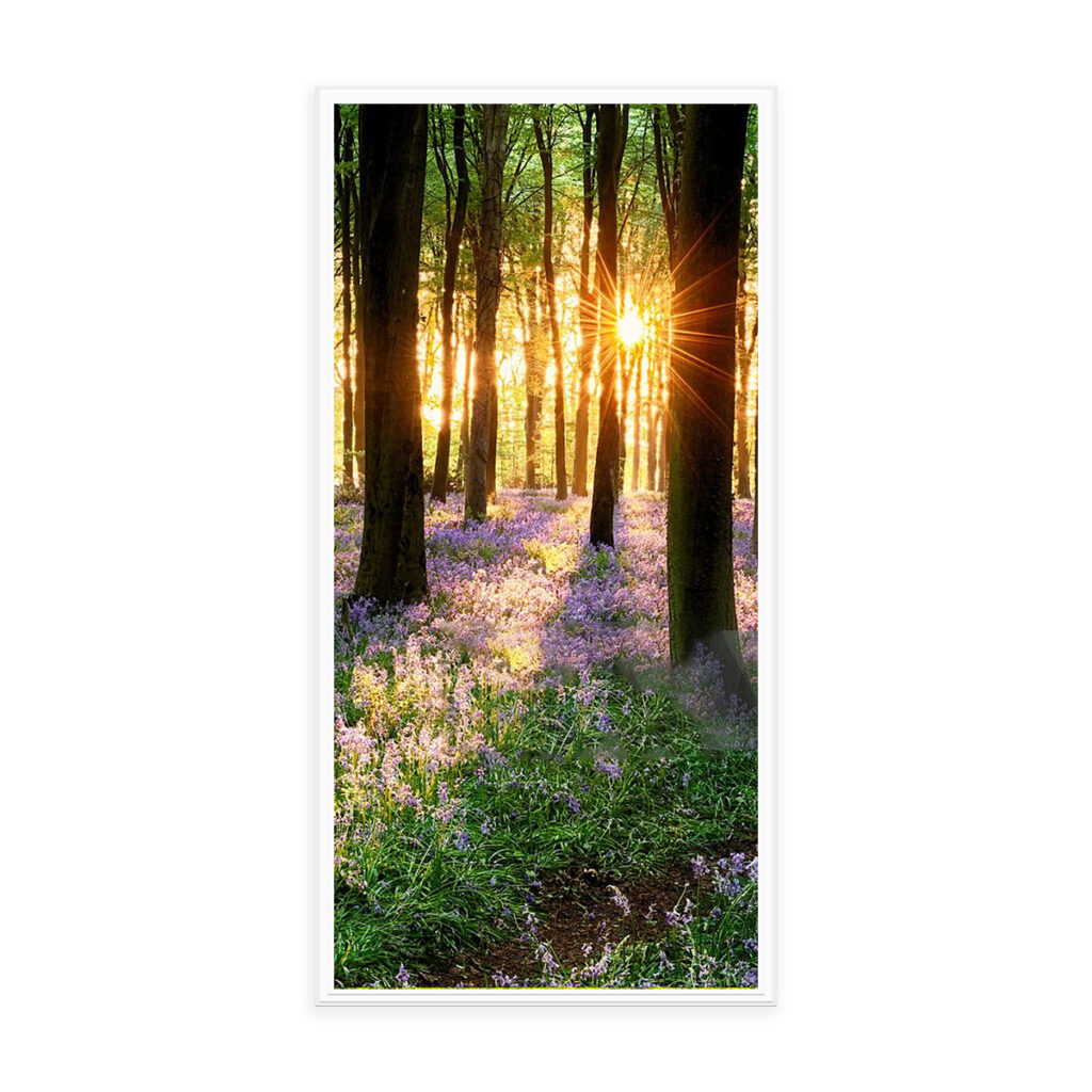 LED-Wandbild FENETRO, Wald-Sonnenuntergang, 120 x 60cm